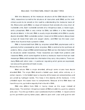 Different Types OF Ribonucleic ACID - DIFFERENT TYPES OF RIBONUCLEIC ...