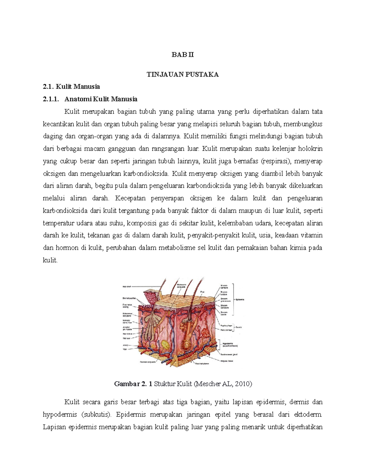 BAB II - akigyug - BAB II TINJAUAN PUSTAKA Kulit Manusia 2.1. Anatomi ...