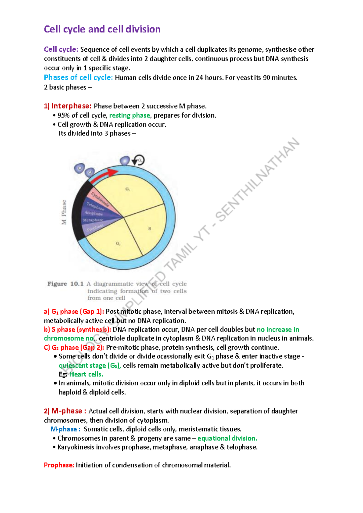 Cell cycle and cell division - BST Notes final b4ad2839-6f75-48b9-969b ...