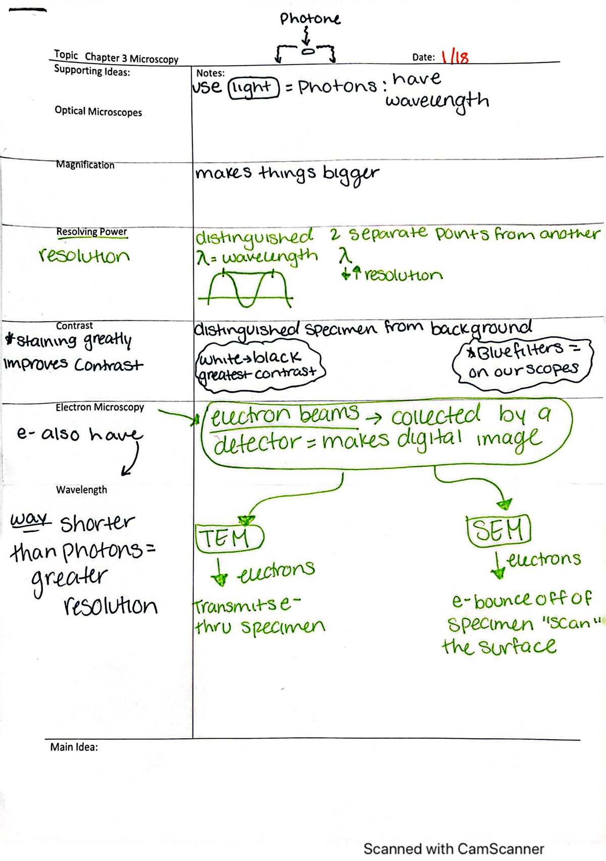 Chapter 3 - notes - MICR V01 - Studocu