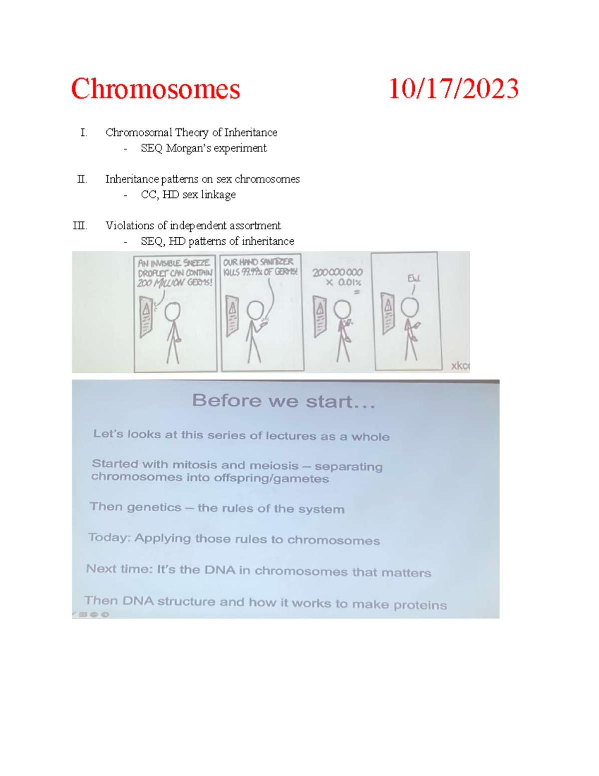 Chromosome lecture October 17 - Chromosomes 10/17/ I. Chromosomal ...