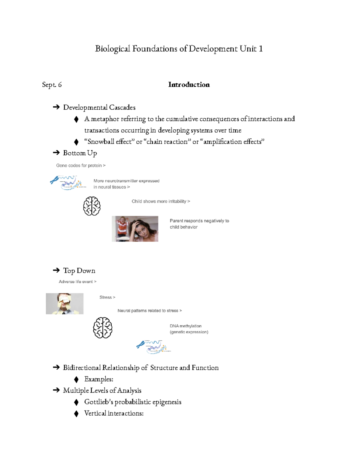 Genetics Biofoundations - Biological Foundations of Development Unit 1 ...