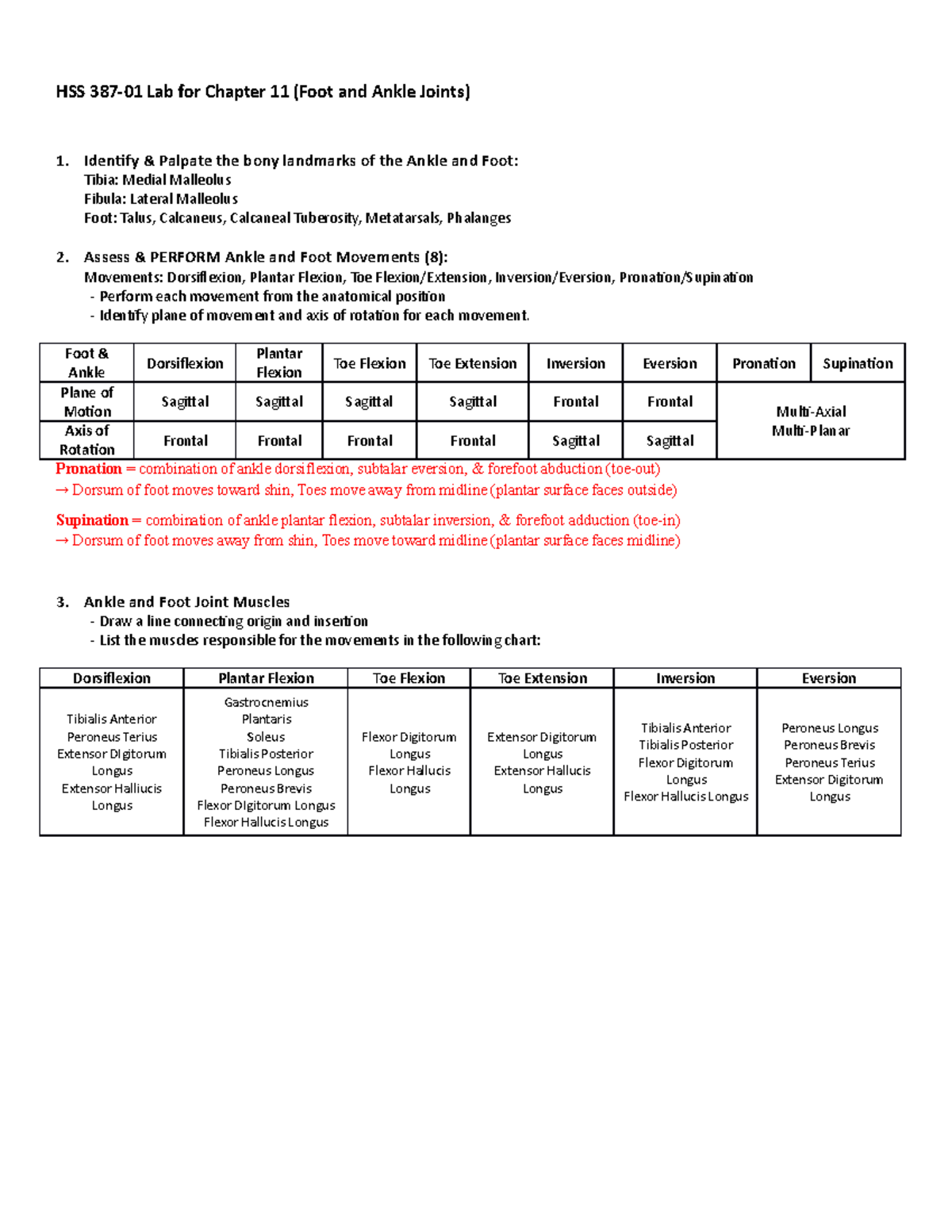 Lab - Chapter 11 Answers - HSS 387-01 Lab for Chapter 11 (Foot and Ankle Joints) 1. Identify ...
