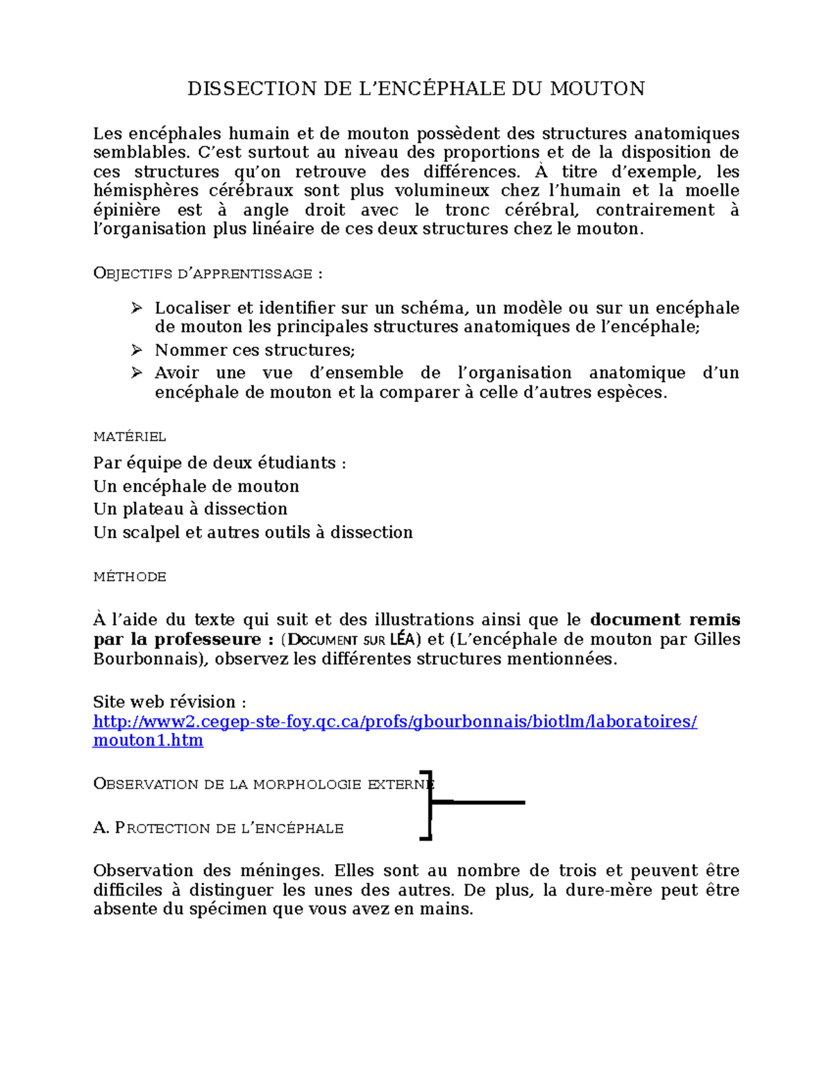 Labo2 Histo et dissection - DISSECTION DE L’ENCÉPHALE DU MOUTON Les ...