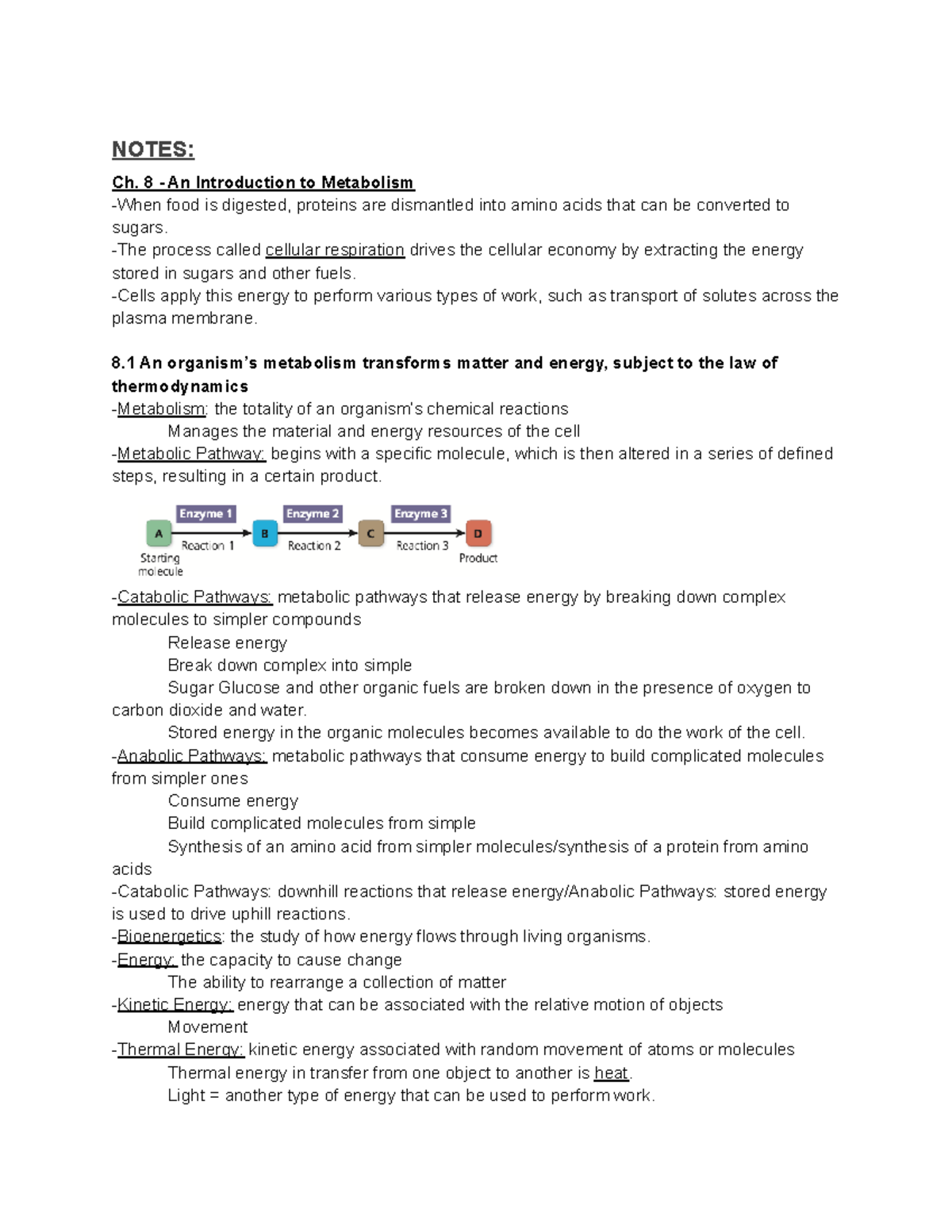 BISC 220 - Metabolism - NOTES: Ch. 8 - An Introduction to Metabolism ...