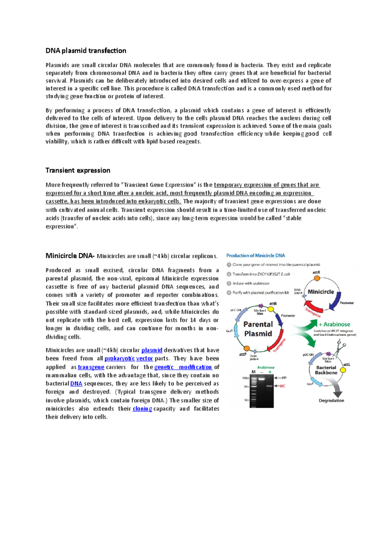 DNA plasmid transfection - DNA plasmid transfection Plasmids are small ...