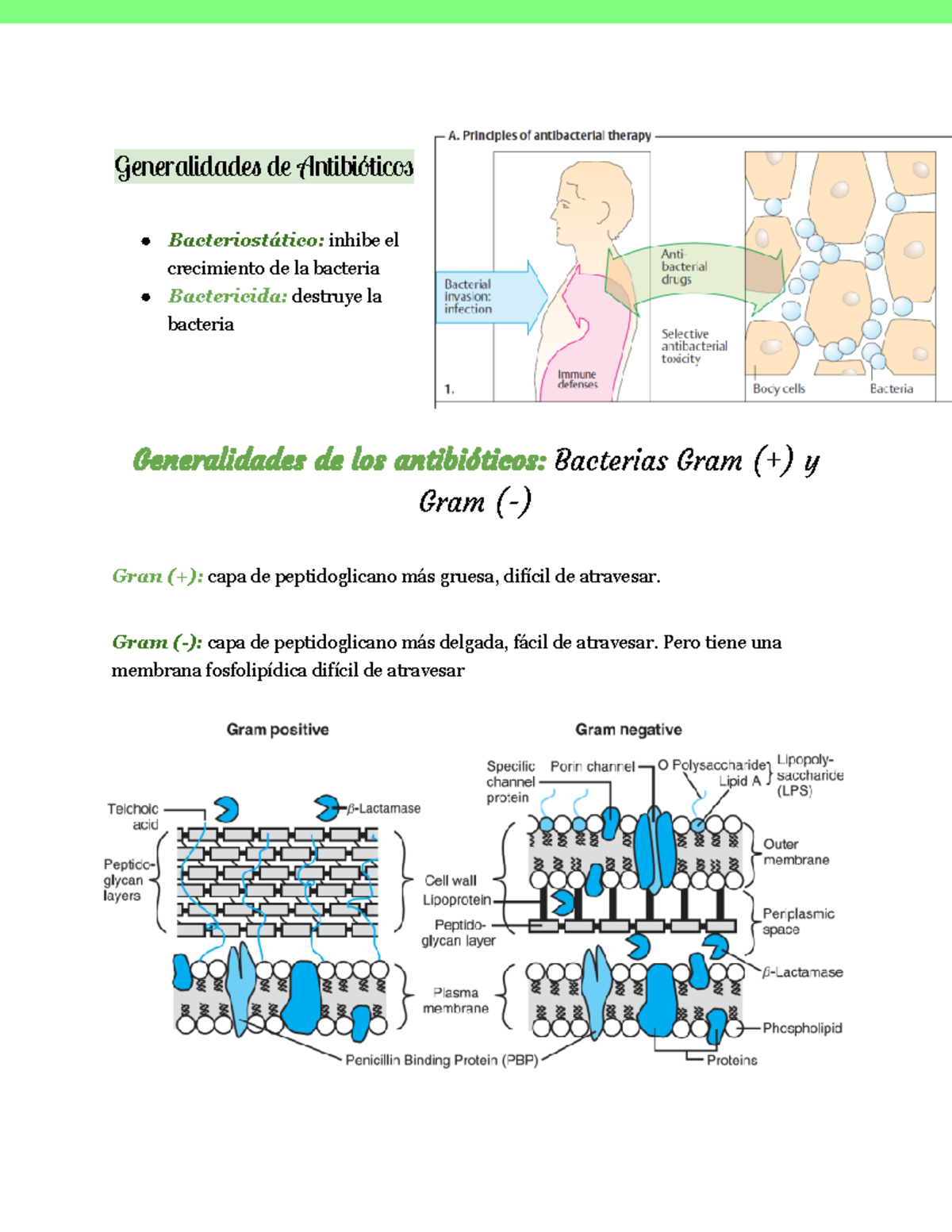 Antibióticos Parte 1 - Para solemne 2 - Generalidade d Antibiótic ...