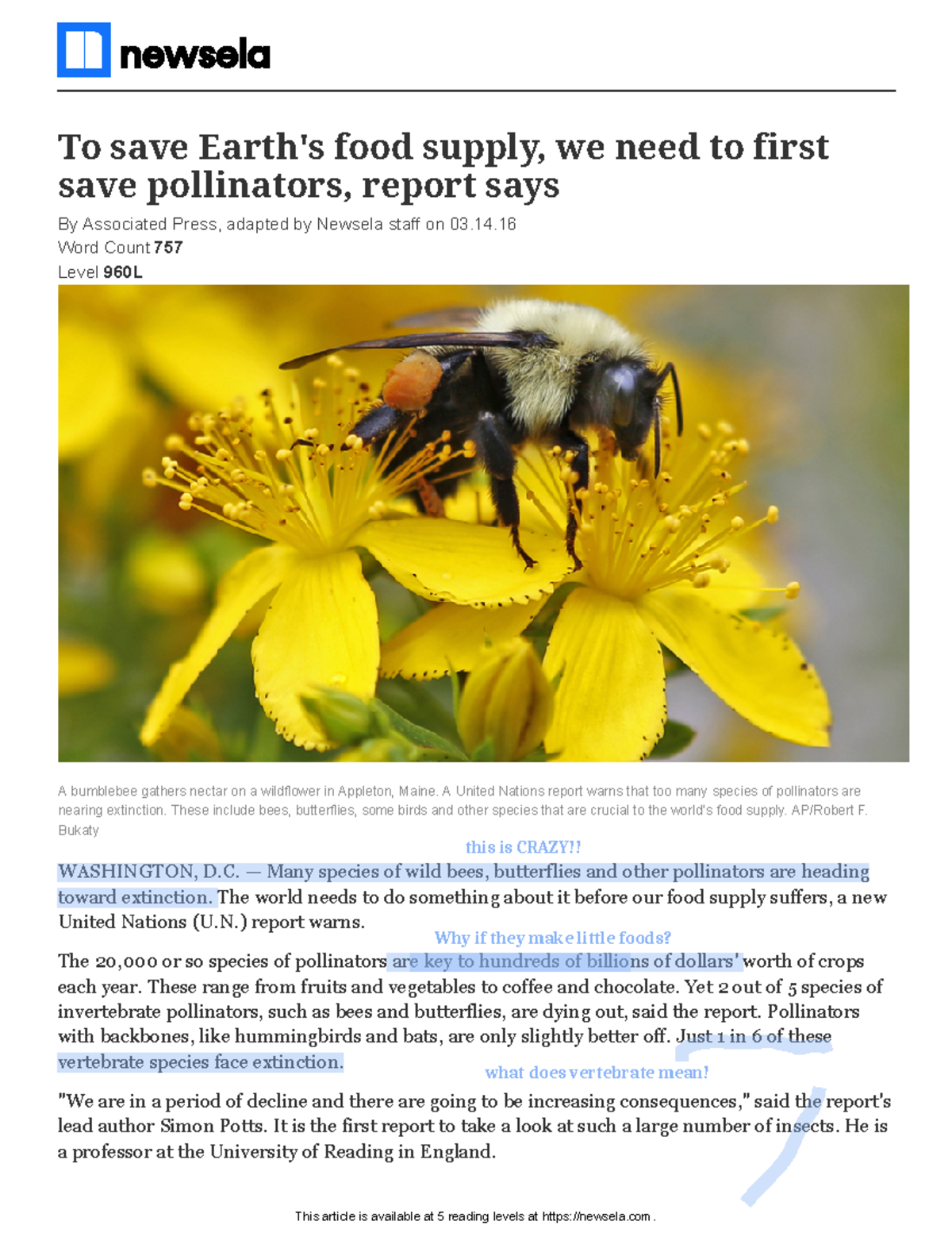 Decline in Pollinator Reading (E) - To save Earth's food supply, we ...