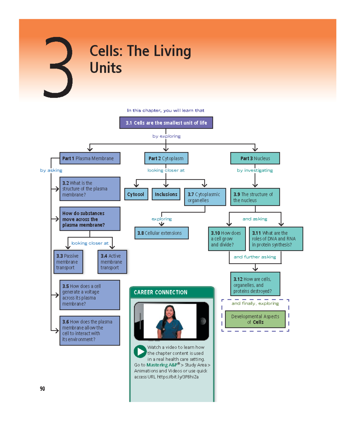 Cell Chapter 12th - cell - ####### 90 3 Cells: The Living Units 3 Cells ...