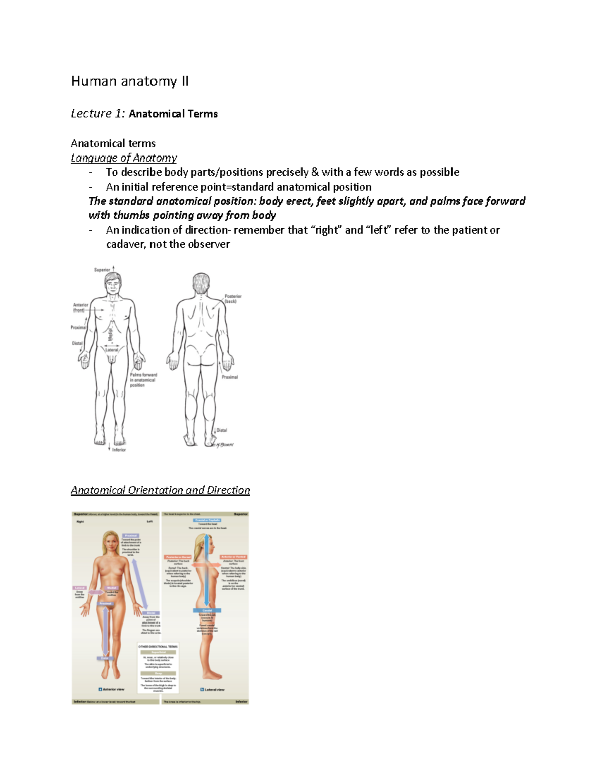 Human anatomy II - Human anatomy II Lecture 1: Anatomical Terms ...
