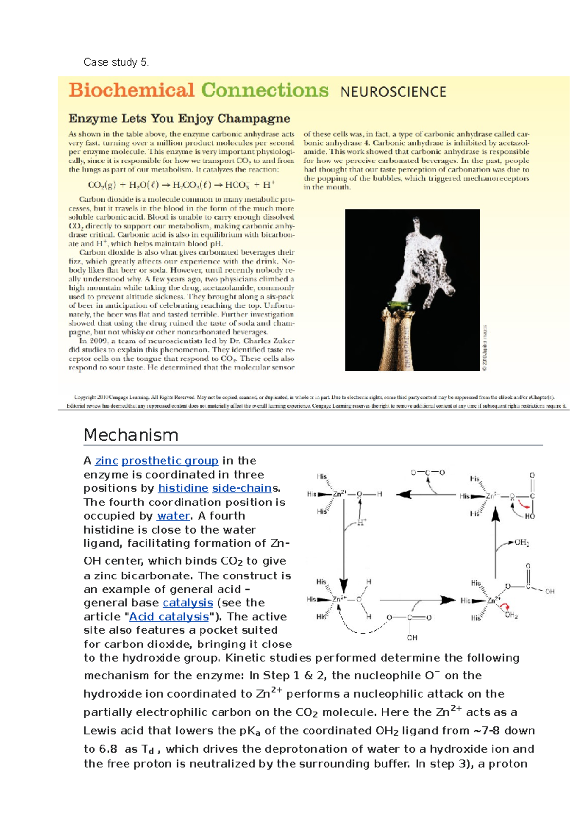 Case study 5 - practical lesson - Case study 5. Mechanism A zinc ...
