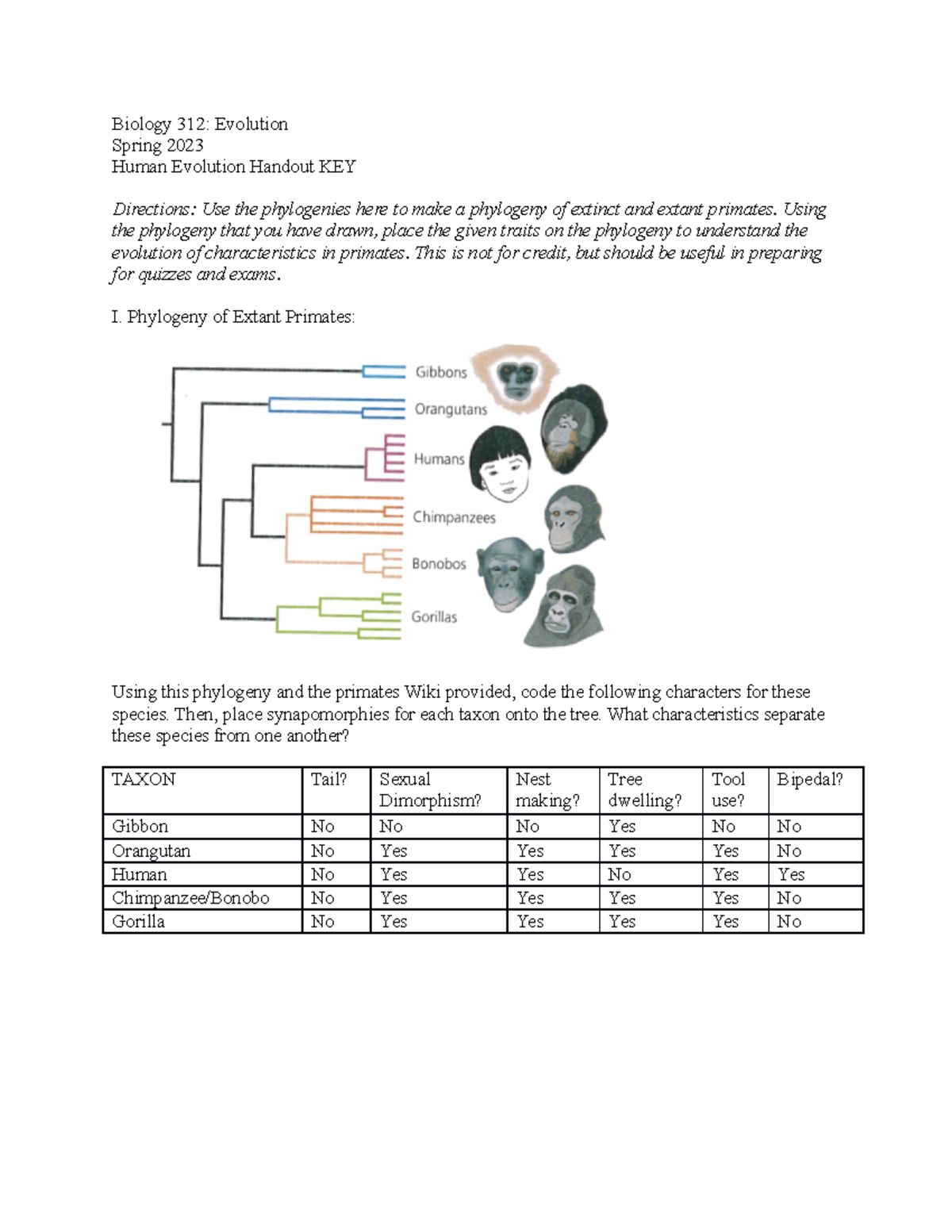 Primate Handout 1key - This was classwork with Dr. Simmons. - Biology ...