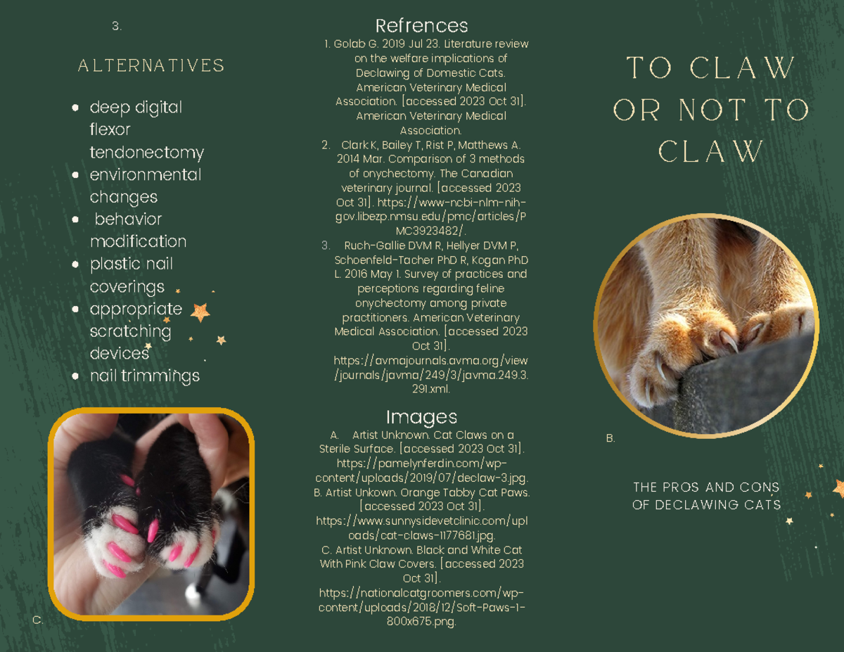To claw or not to claw brochure - A l t e r n a t i v e s Refrences ...