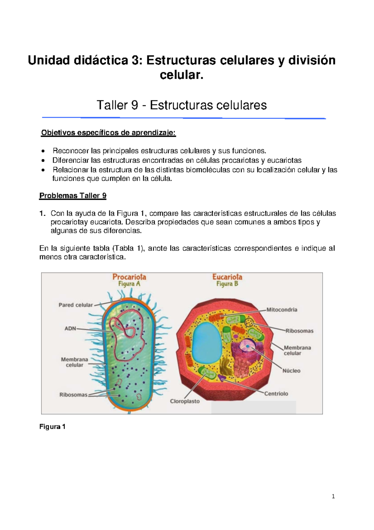 Taller 9 Estructuras celulares - Unidad didáctica 3: Estructuras ...