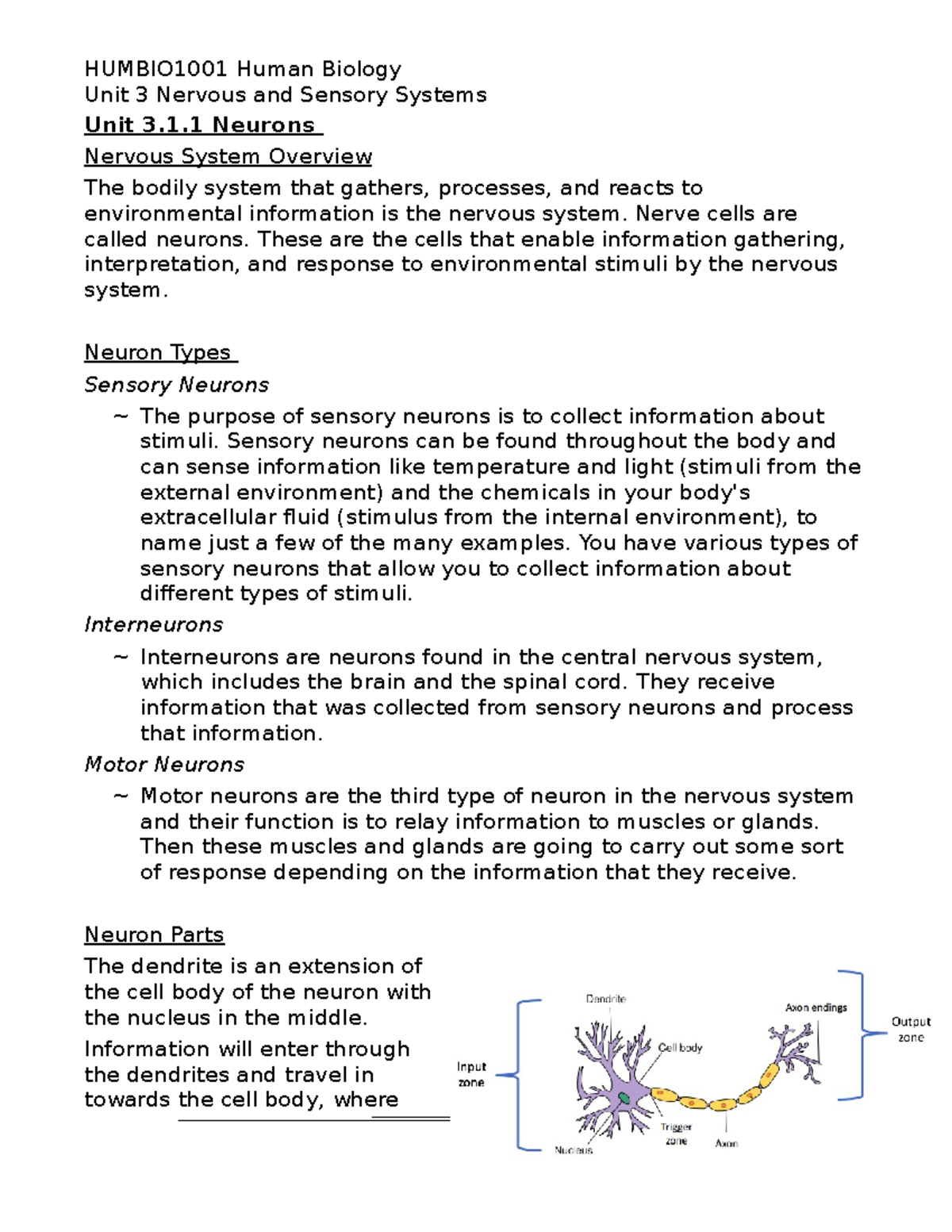 Unit 3 - 3.1 - Unit 3 Nervous and Sensory Systems Unit 3.1 Neurons ...