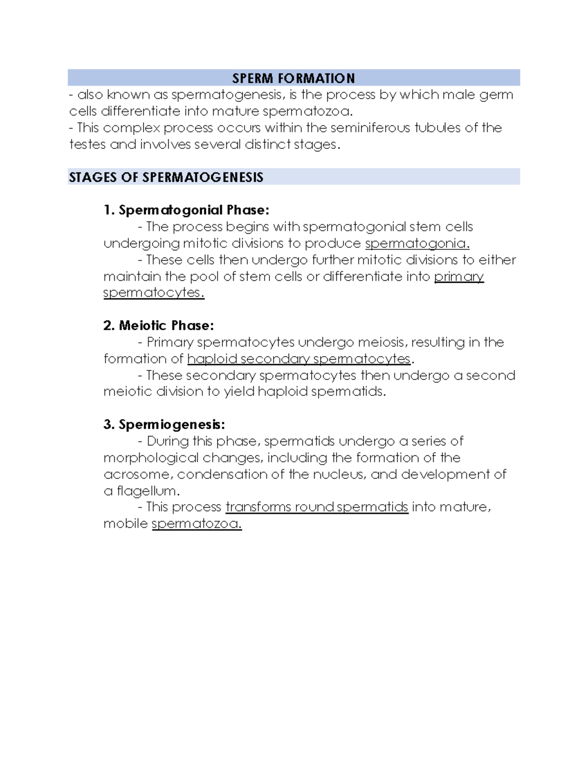 Outline OF Sperm Formation - SPERM FORMATION also known as ...