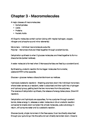 BIO101 - Notes - BIO Chapter 3 - Macromolecules 4 major classes of ...