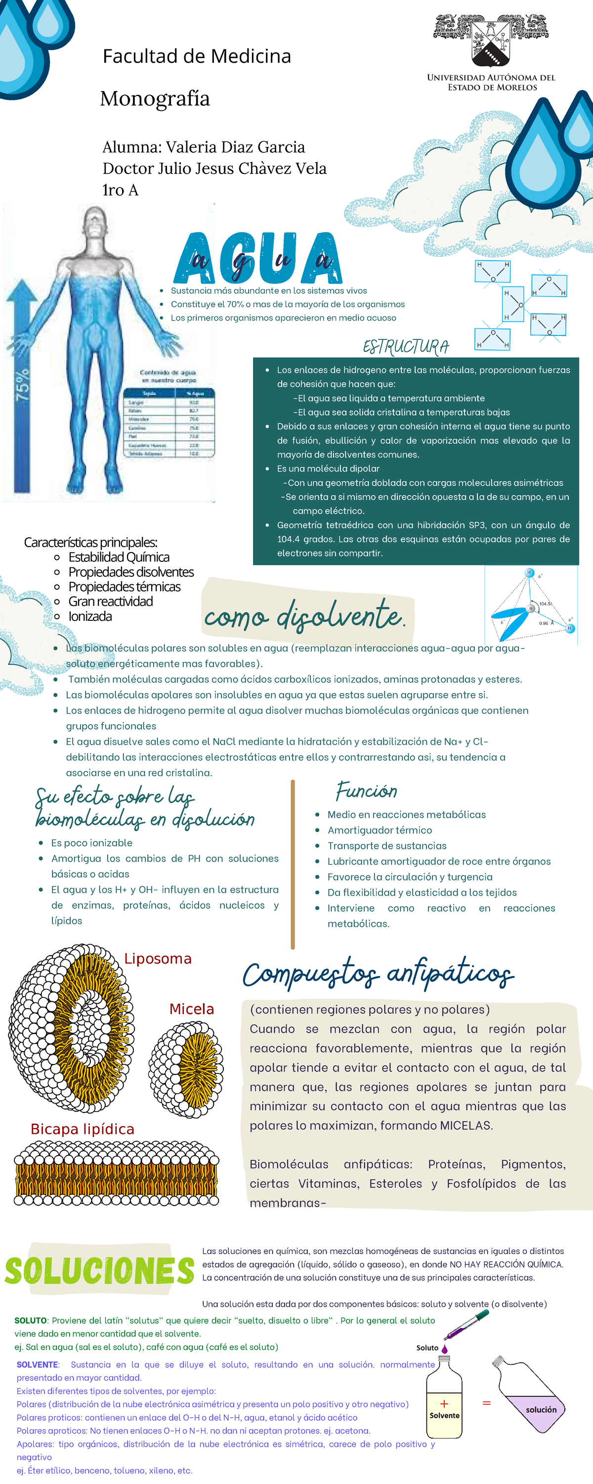 Diaz Garcia Valeria Monografia agua - Compuestos anfipáticos Es poco ...