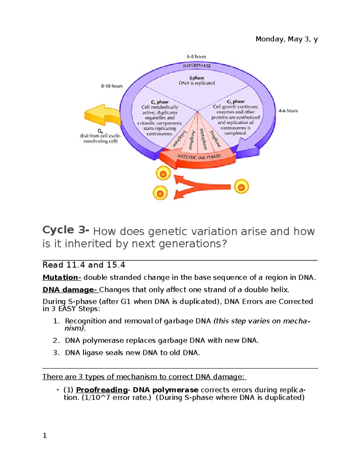 Bio October Term Test summary - Cycle 3- How does genetic variation ...