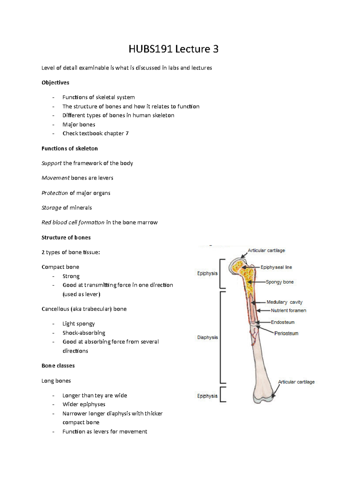 HUBS191 Lecture 3 - Carpals and tarsals (small bones in hand and feet ...