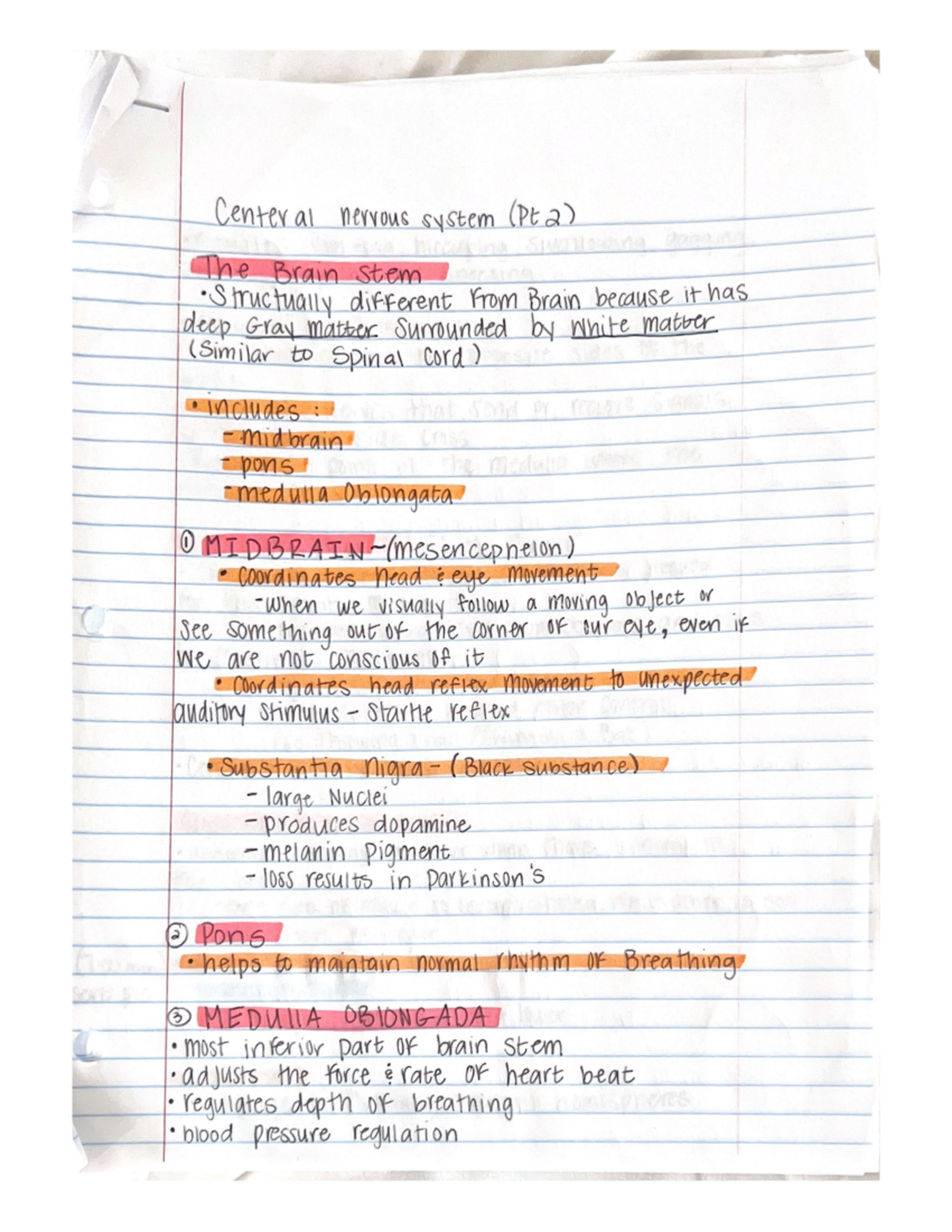 Scanned Documents - Dr. Hall, Brain notes semester 1 - Centeral nervous ...