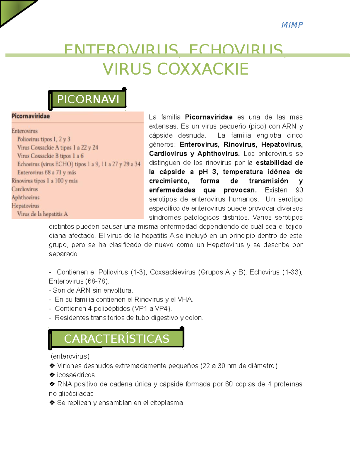 Enterovirus - Apuntes 1 - ENTEROVIRUS, ECHOVIRUS, VIRUS COXXACKIE La ...