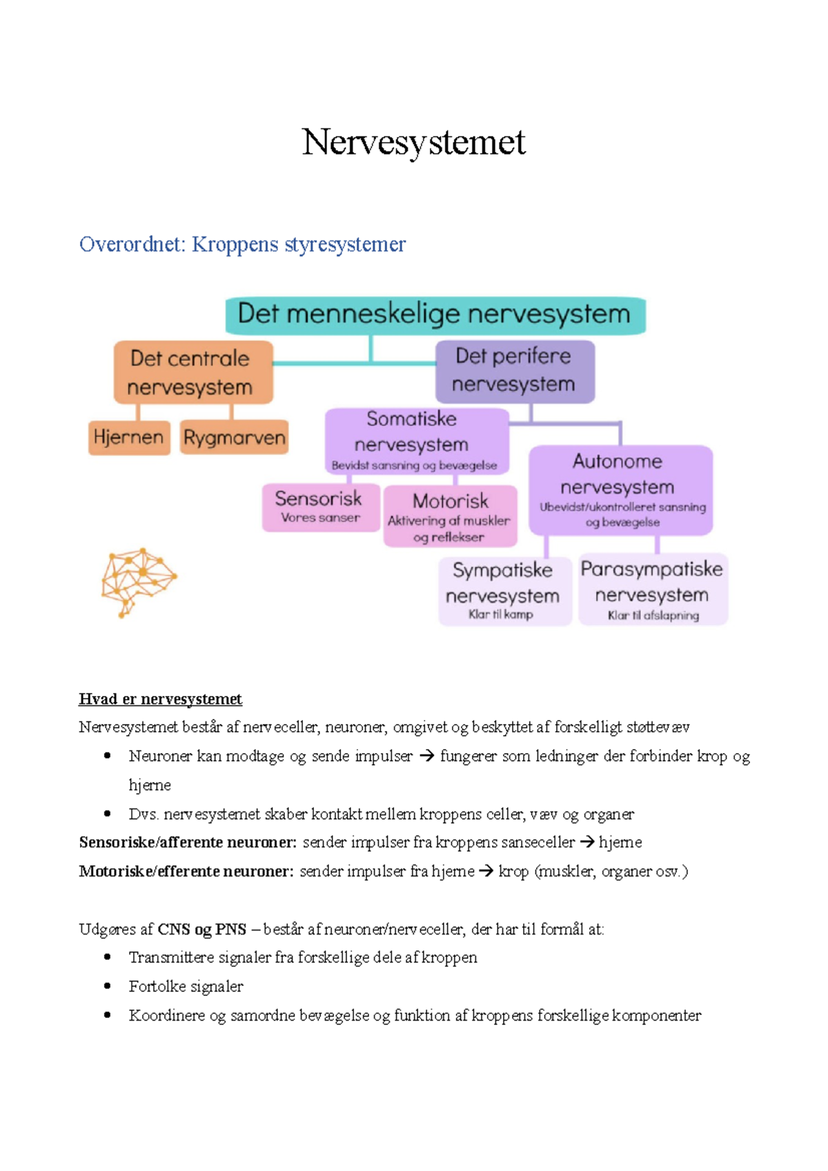 Nervesystemet - Nervesystemet Overordnet: Kroppens styresystemer Hvad er nervesystemet ...