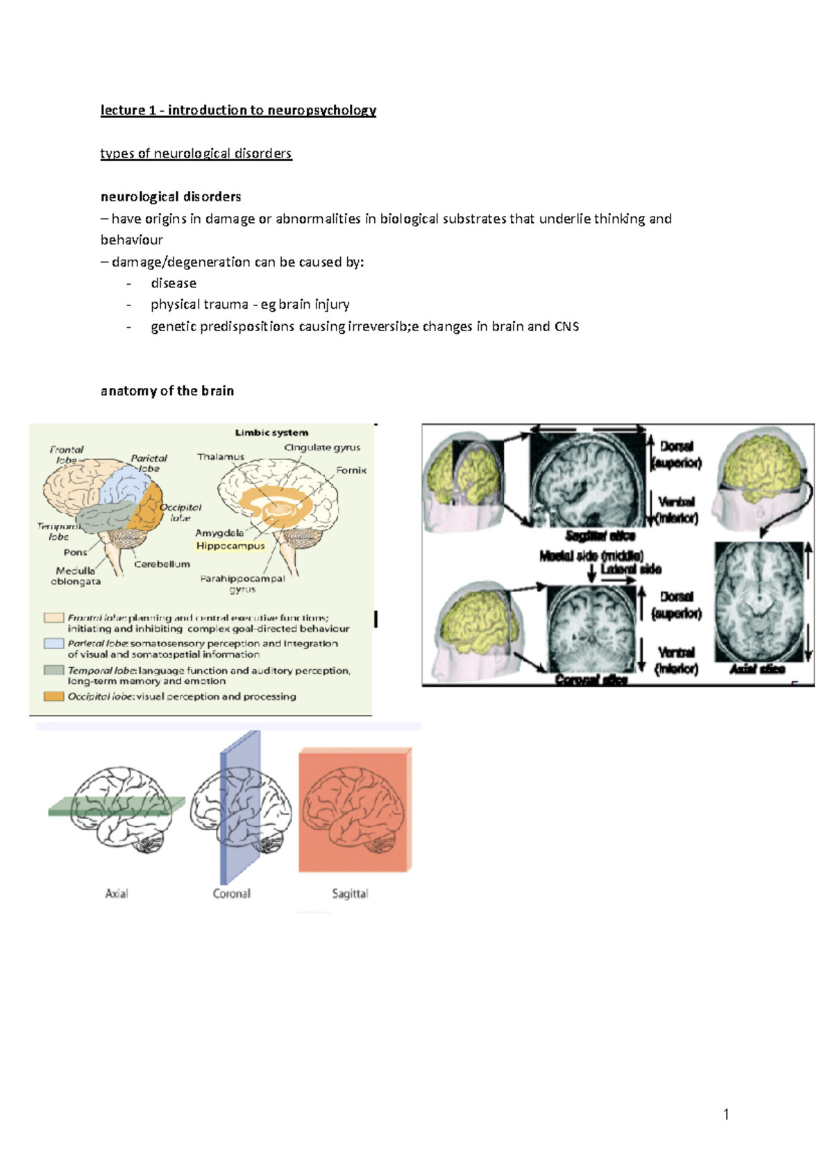 Lecture 1 - introduction to neuropsychology - lecture 1 - introduction ...