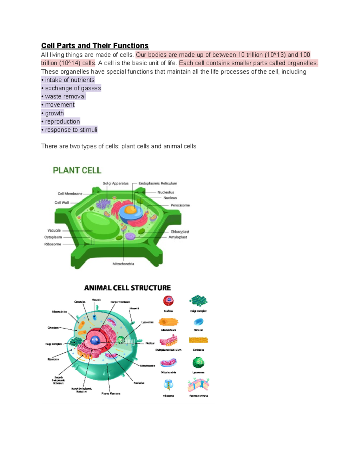 Cells - Cell Parts and Their Functions All living things are made of ...
