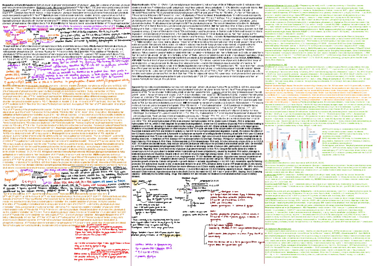 Cheat Sheet BIOSCI 203 - Diabetes: Insulin- 80%m, 5-10%fat, (-)gluconeo ...
