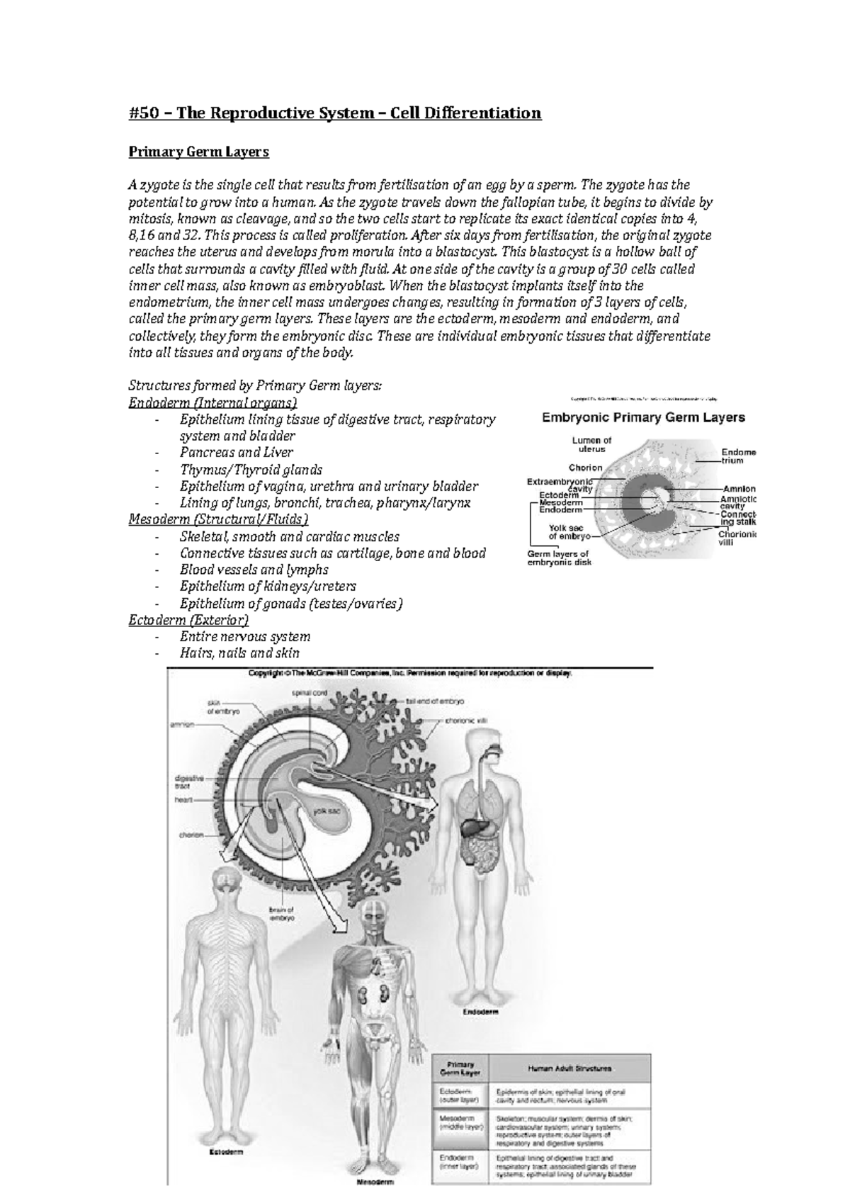 Cell Differentiation - #50 – The Reproductive System – Cell ...