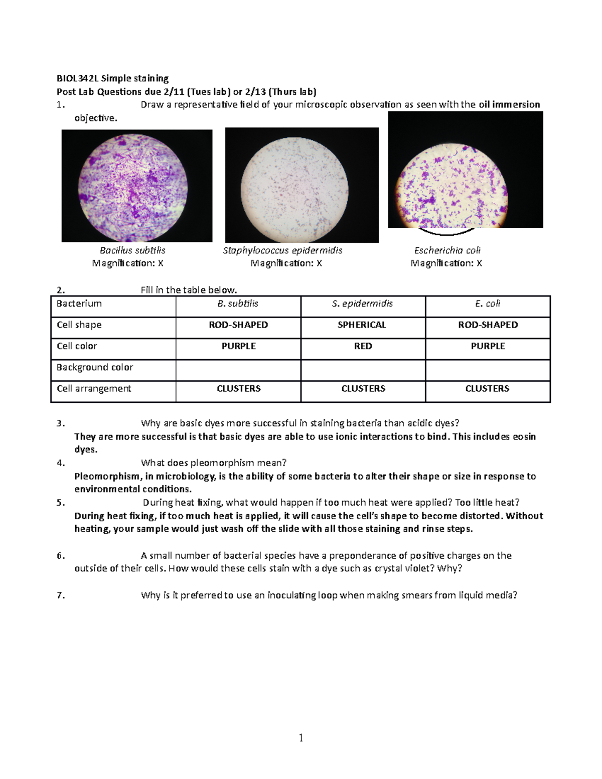 Post-Lab simple staining - BIOL342L Simple staining Post Lab Questions ...