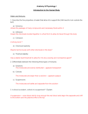 Week 12 Lab - Digestive - teacher: Professor Patterson - Anatomy ...
