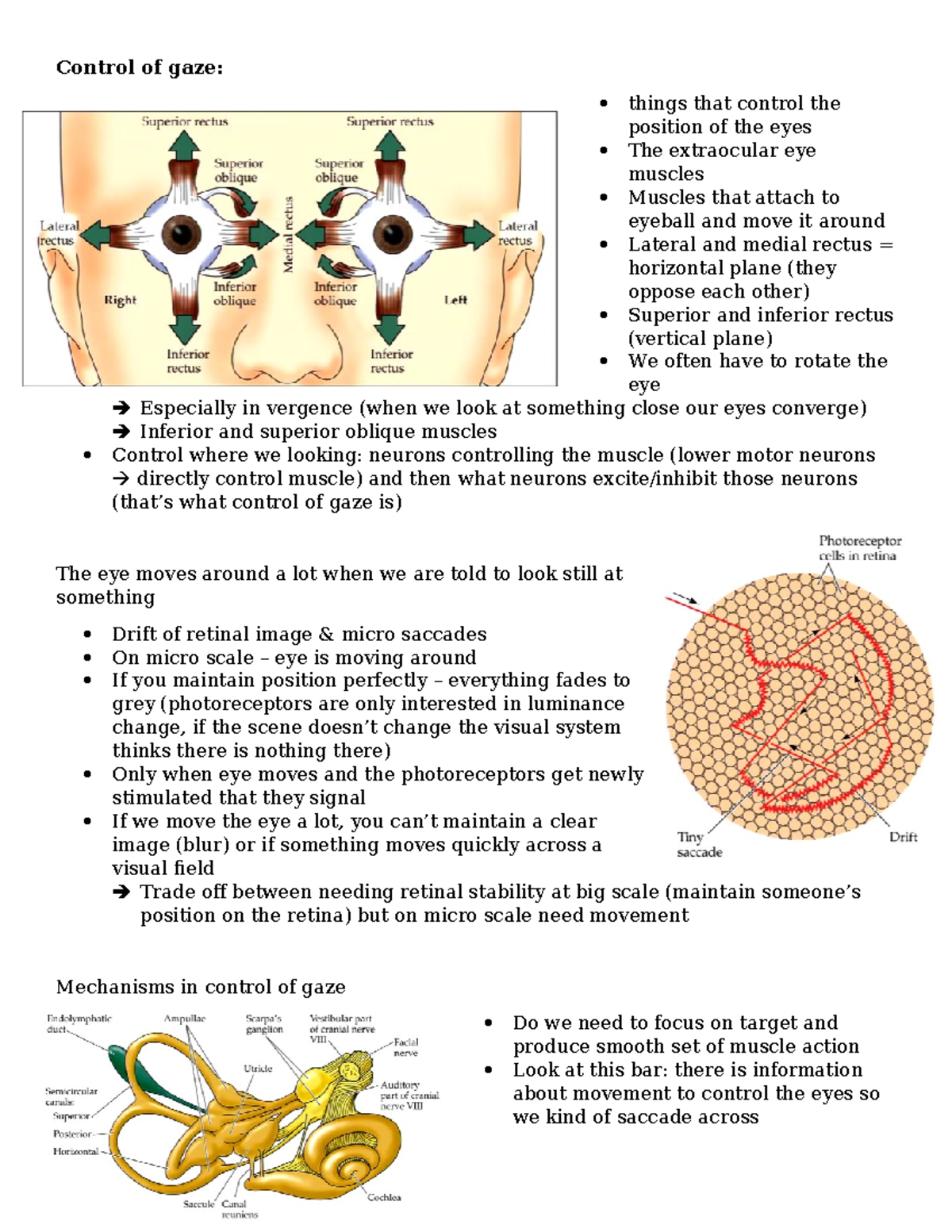 Control-of-gaze - Control-of-gaze notes 2023/2024. Lecture content ...