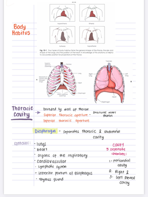 Reviewer IN Intro TO RT - Powerpoint presentation - HISTORY OF ...