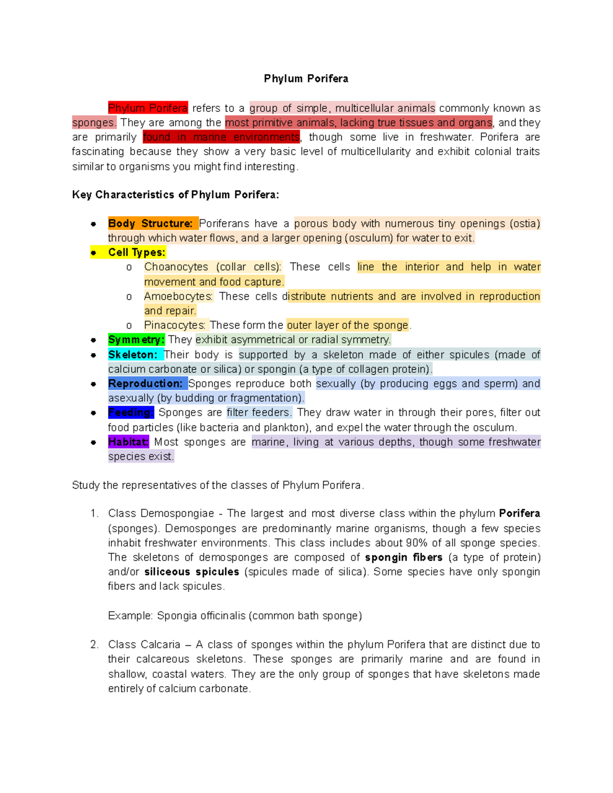 Phylum Porifera - Phylum Porifera Phylum Porifera refers to a group of ...