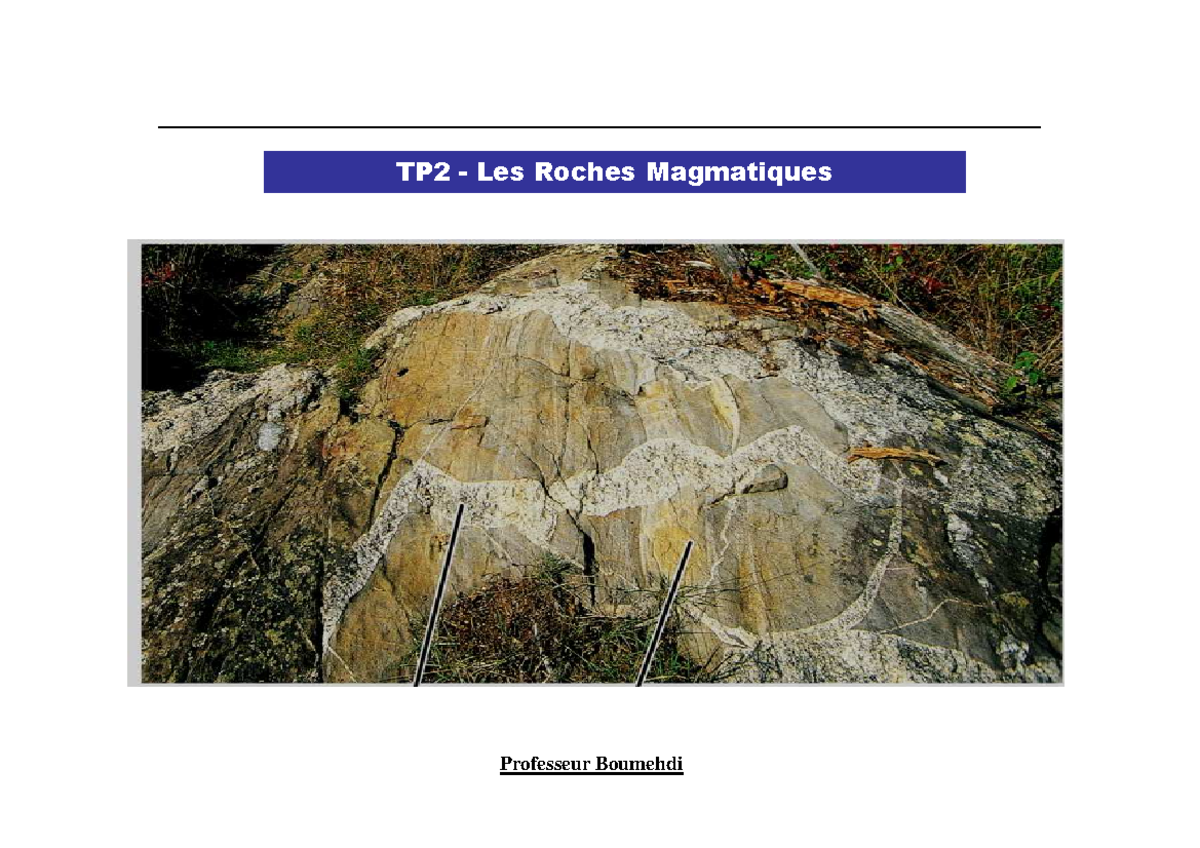 TPS2-Roches Magmatiques - TP2 - Les Roches Magmatiques Professeur ...