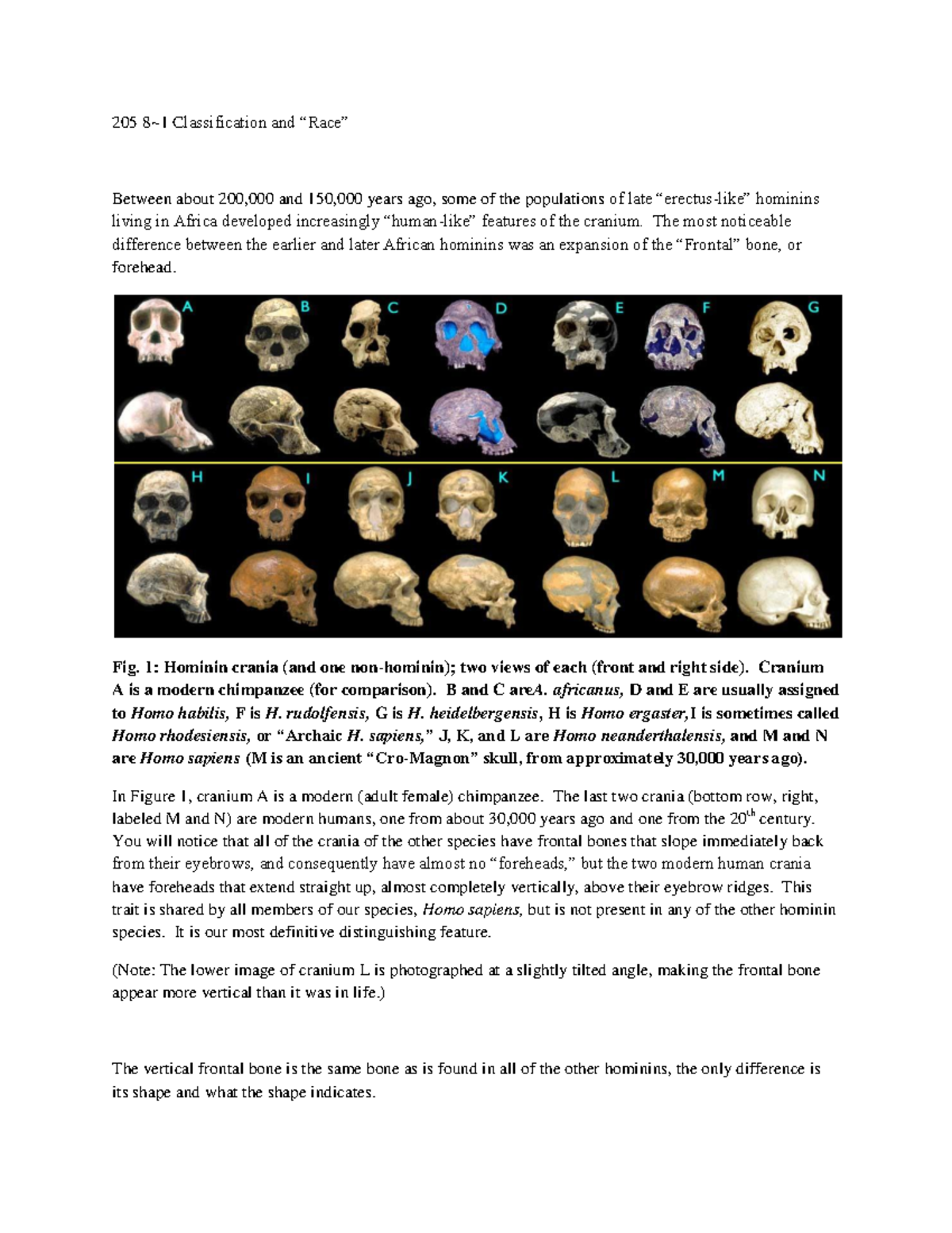 8~1 modern human diversity Sp 14 - 205 8~1 Classification and “Race ...