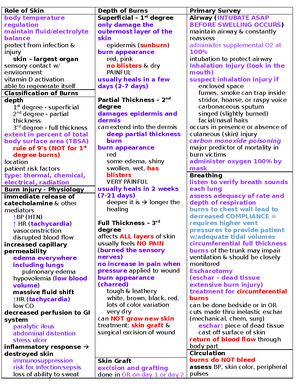 Hemodynamics (Critical Care) - 408 - Studocu