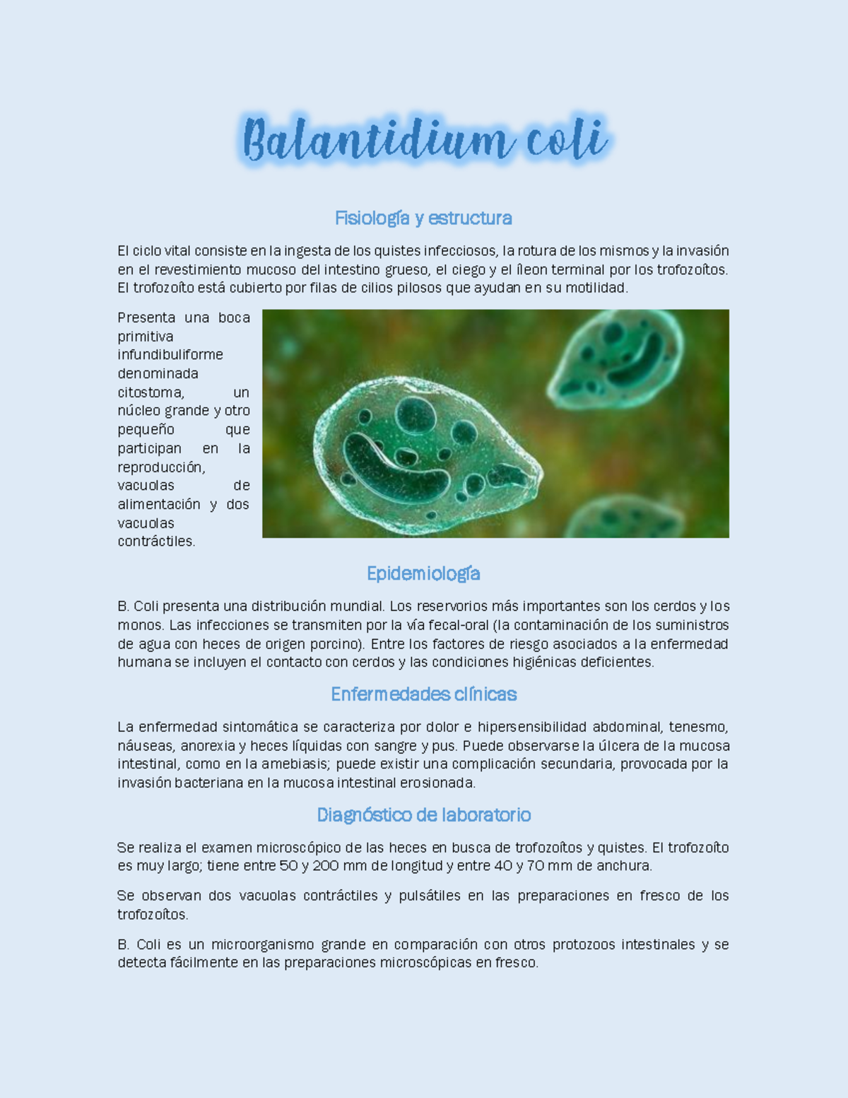 Balantidium coli - breve resumen - Balantidium coli Fisiología y ...
