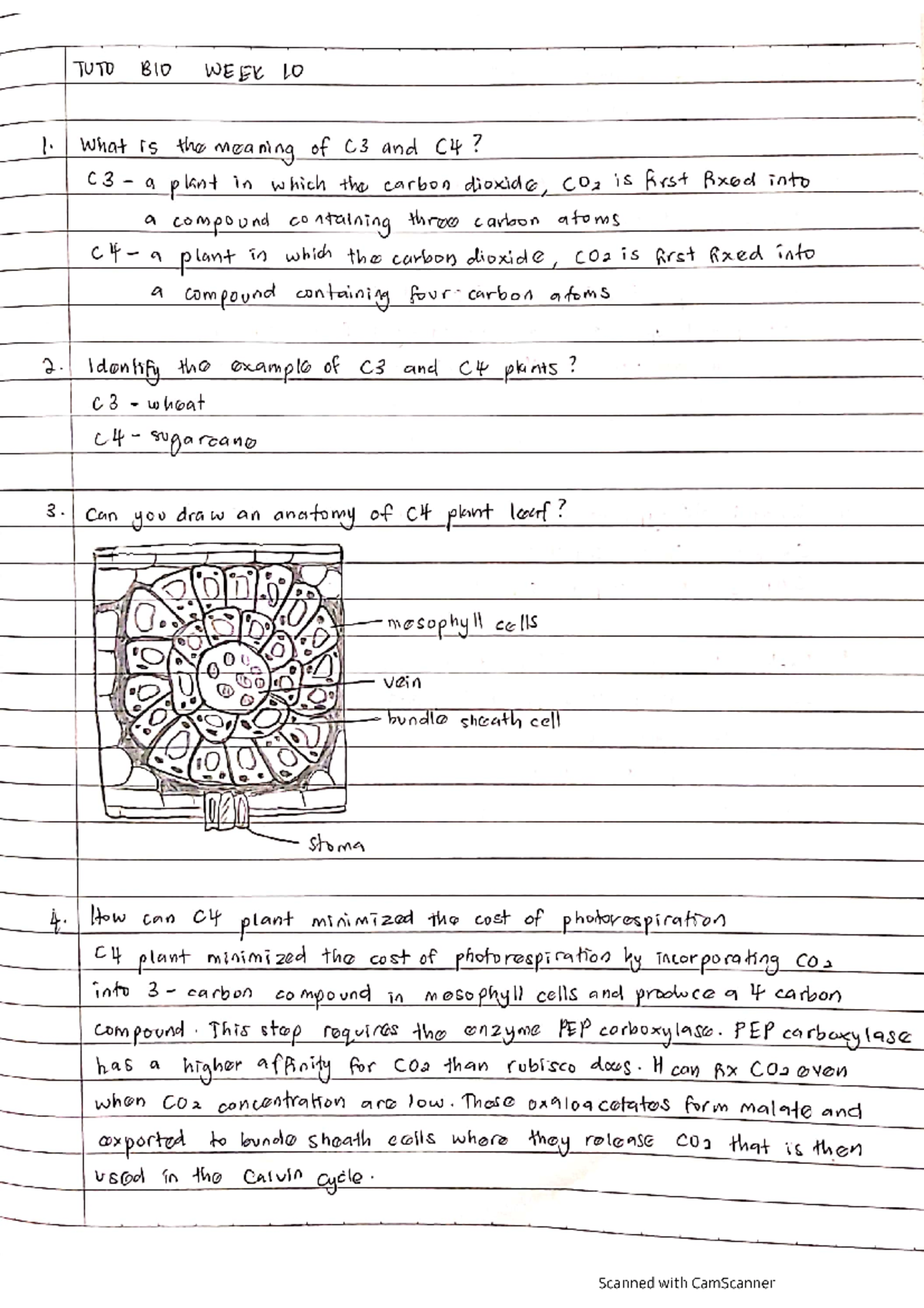 TUTO BIO150 - Tutorials - Applied Science AS120 - Studocu