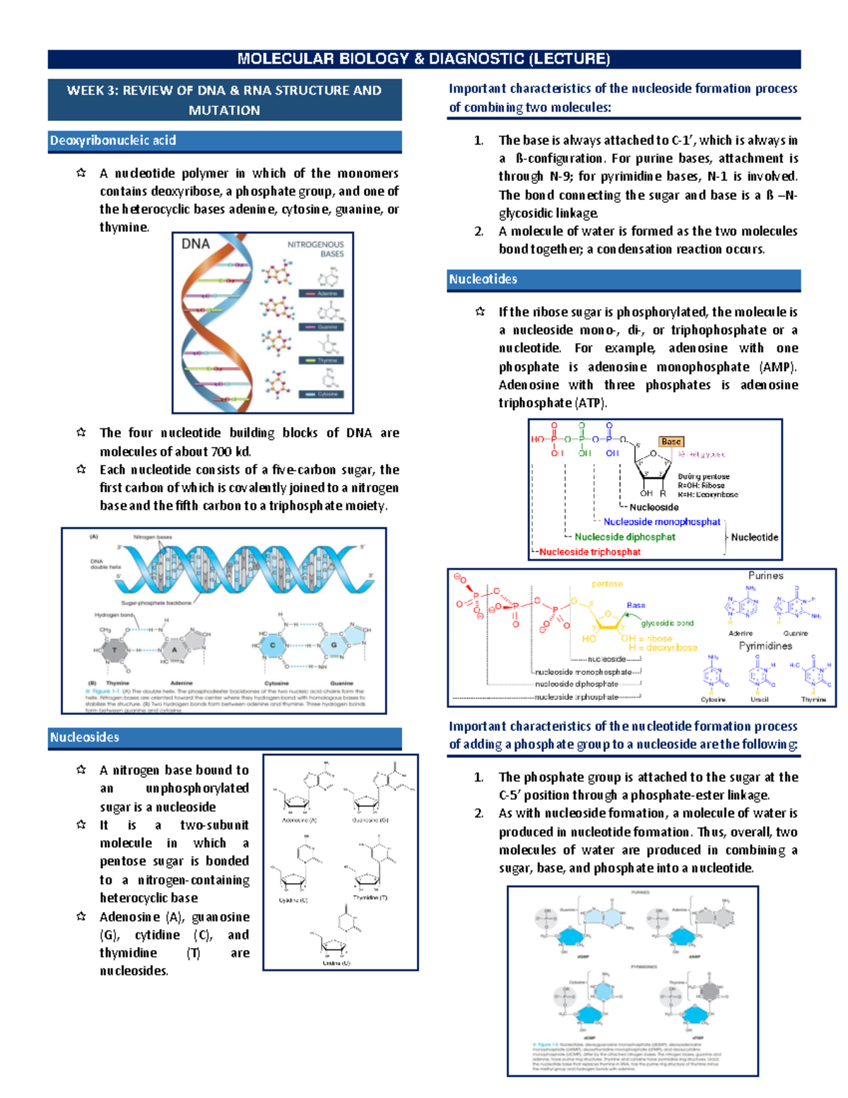 WEEK 3 MODX Lecture DNA RNA - MOLECULAR BIOLOGY & DIAGNOSTIC (LECTURE ...