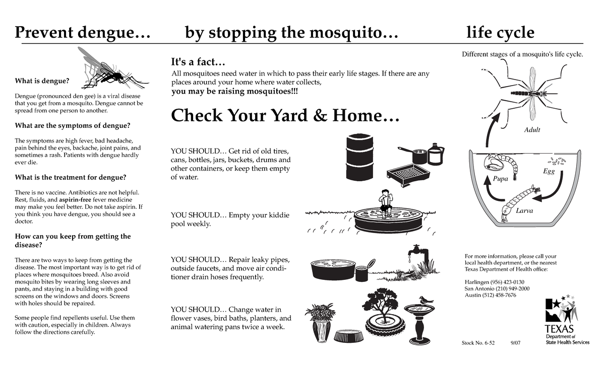Dengue - All mosquitoes need water in which to pass their early life ...