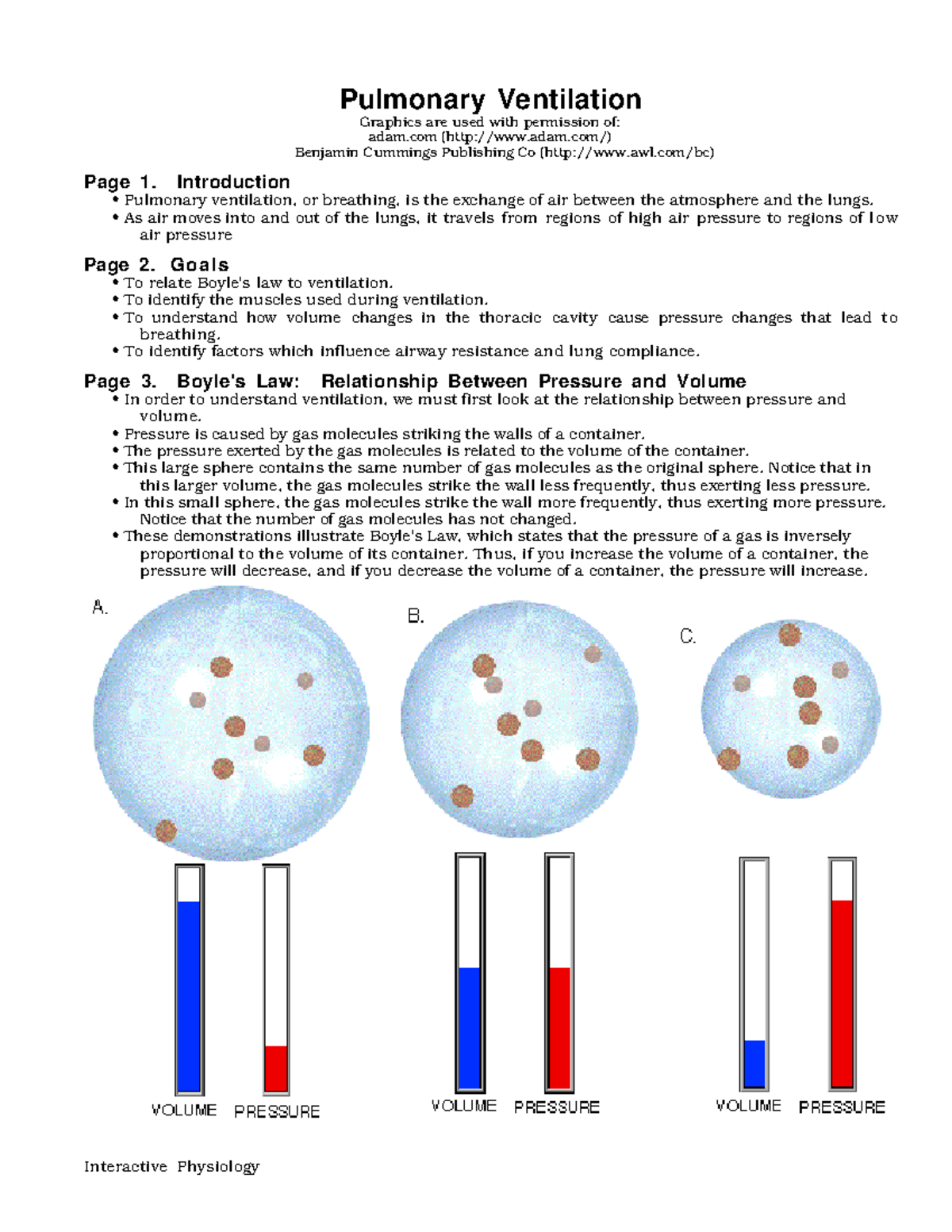 Pulmonary Ventilation - Pulmonary Ventilation Graphics are used with ...