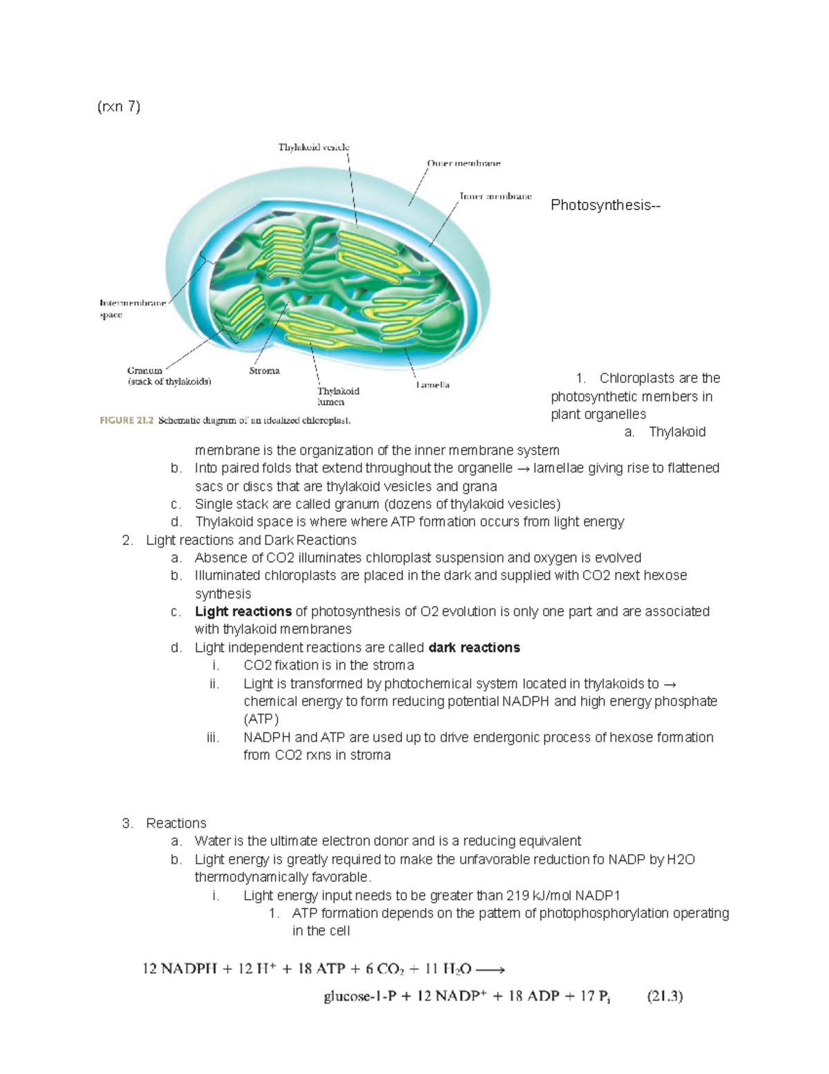 Biochem exam 2 - Lecture notes 1-18 - BIOS 372 - Studocu