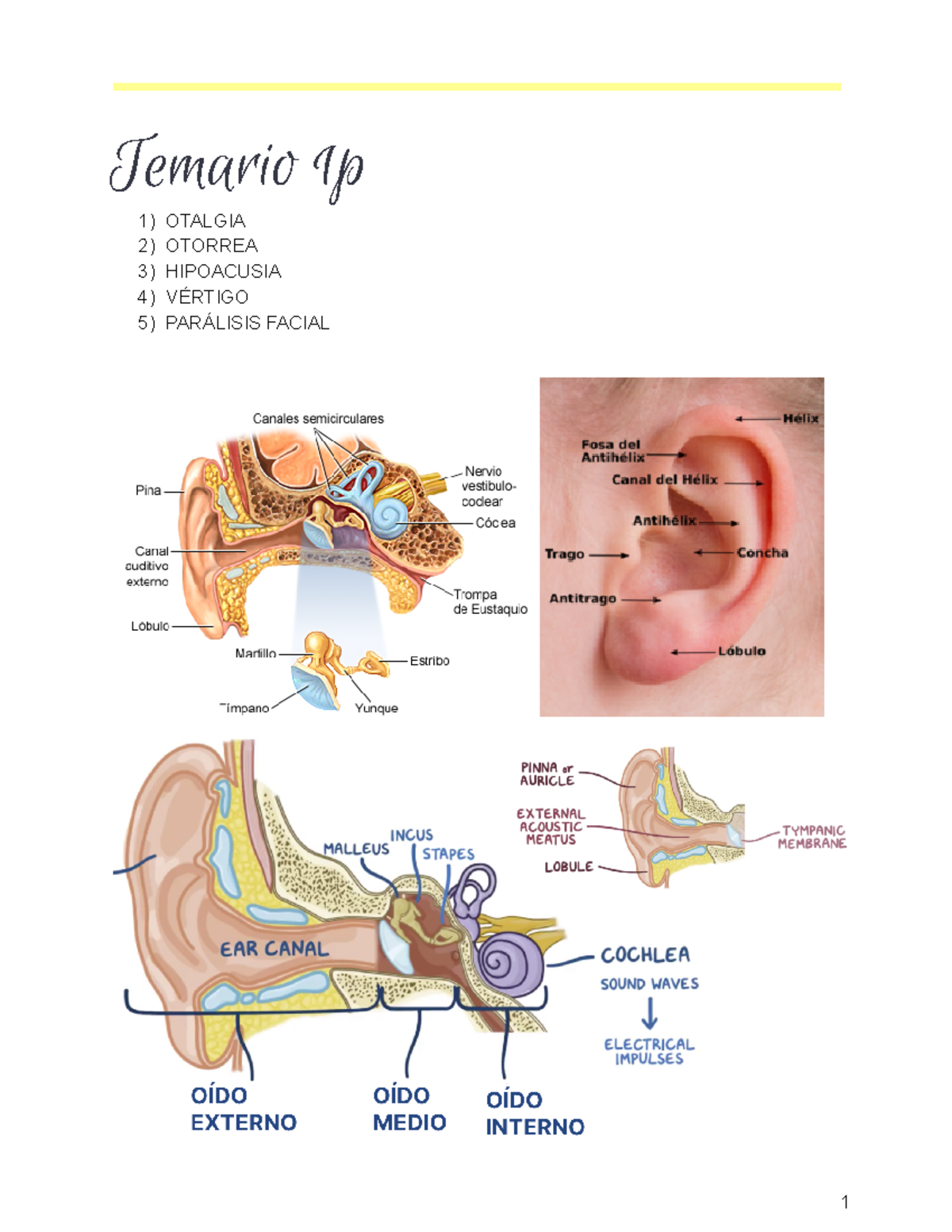 Apuntes Otorrino - Temario 1p 1) OTALGIA 2) OTORREA 3) HIPOACUSIA 4 ...