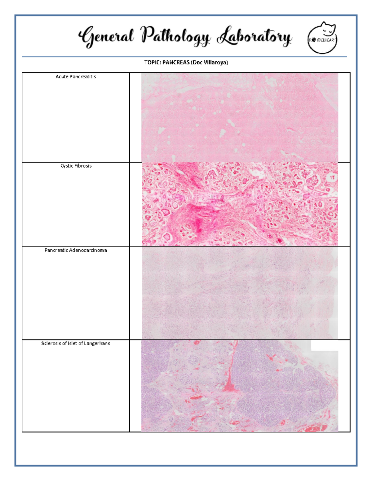 GEN PATH LAB- Pancreas - Quick notes on general pathology - Acute ...
