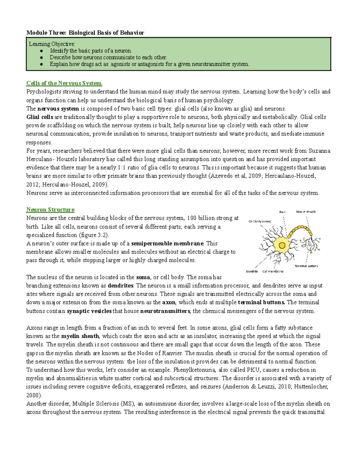 Psychology 1000 module three - Module Three: Biological Basis of ...