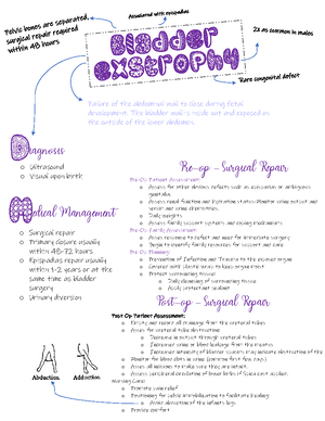 Nursing Fundamentals - Sensory Alterations, Mobility, & Immobility ...