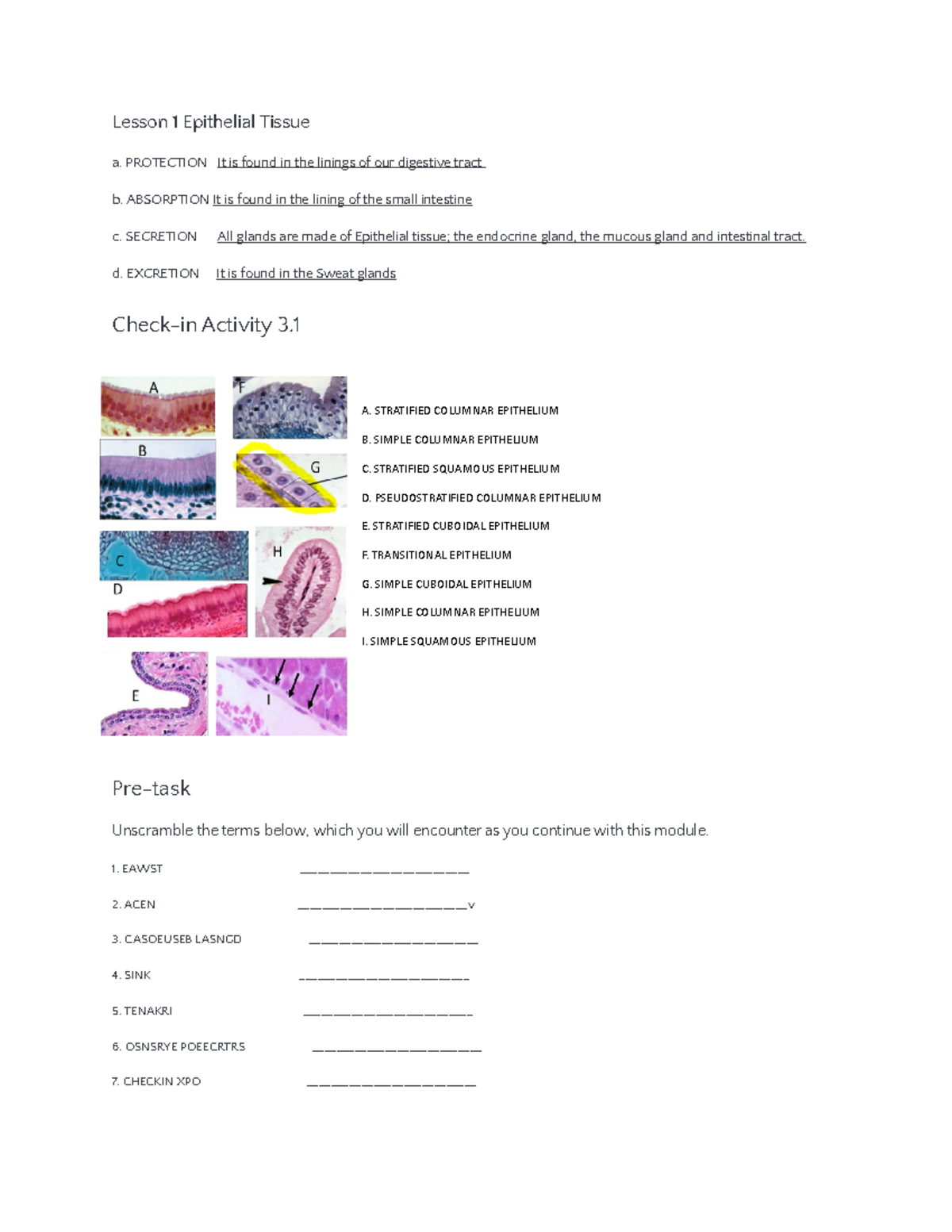 HP (MOD3&4) - Human Anatomy & Physiology (MODULE 3&4) - Lesson 1 ...